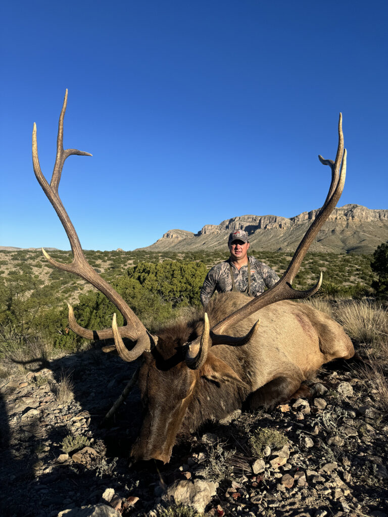 Elk Hunt Photos - Wildlife Systems Inc