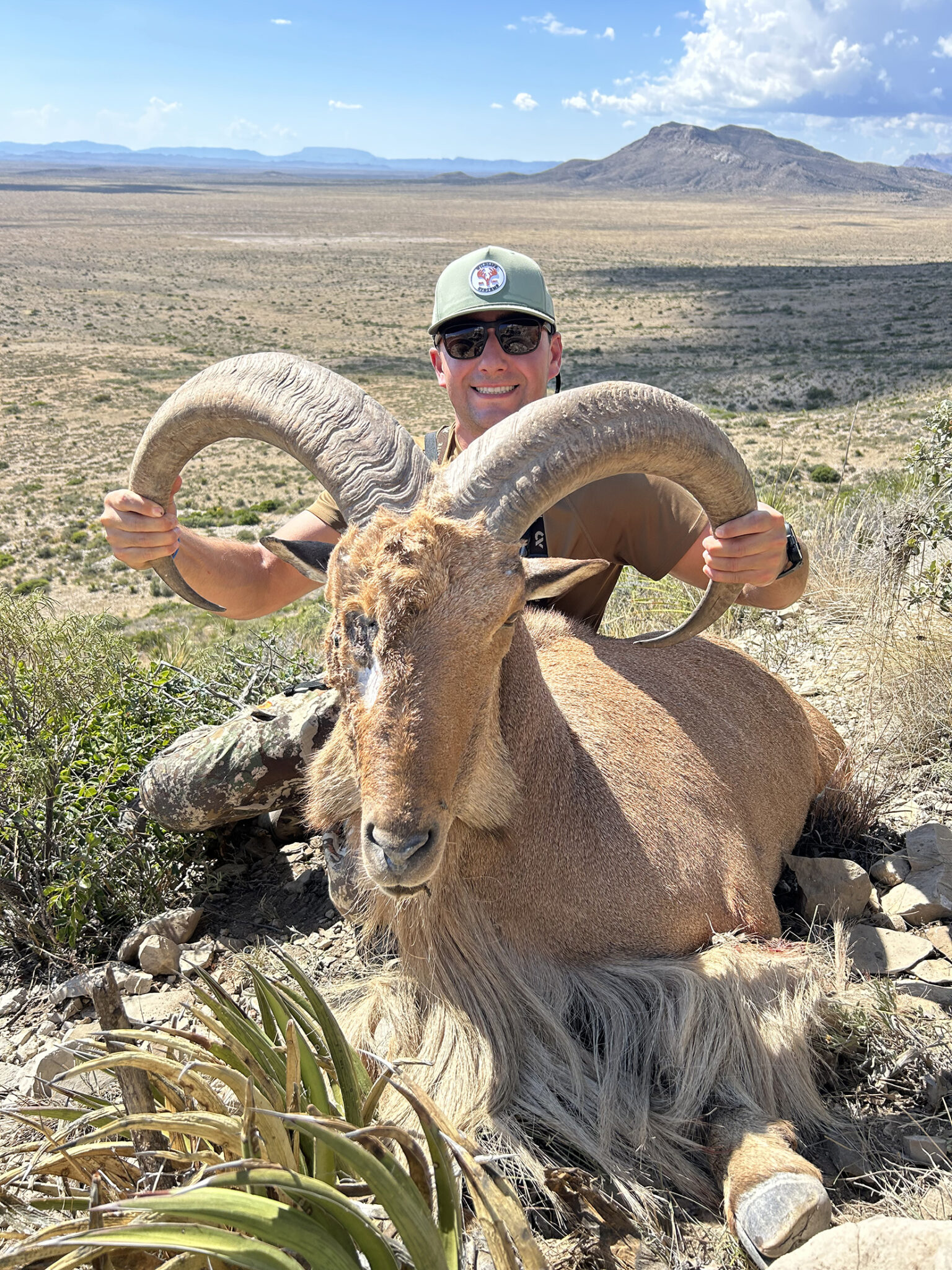 Aoudad Hunt Photos - Wildlife Systems Inc