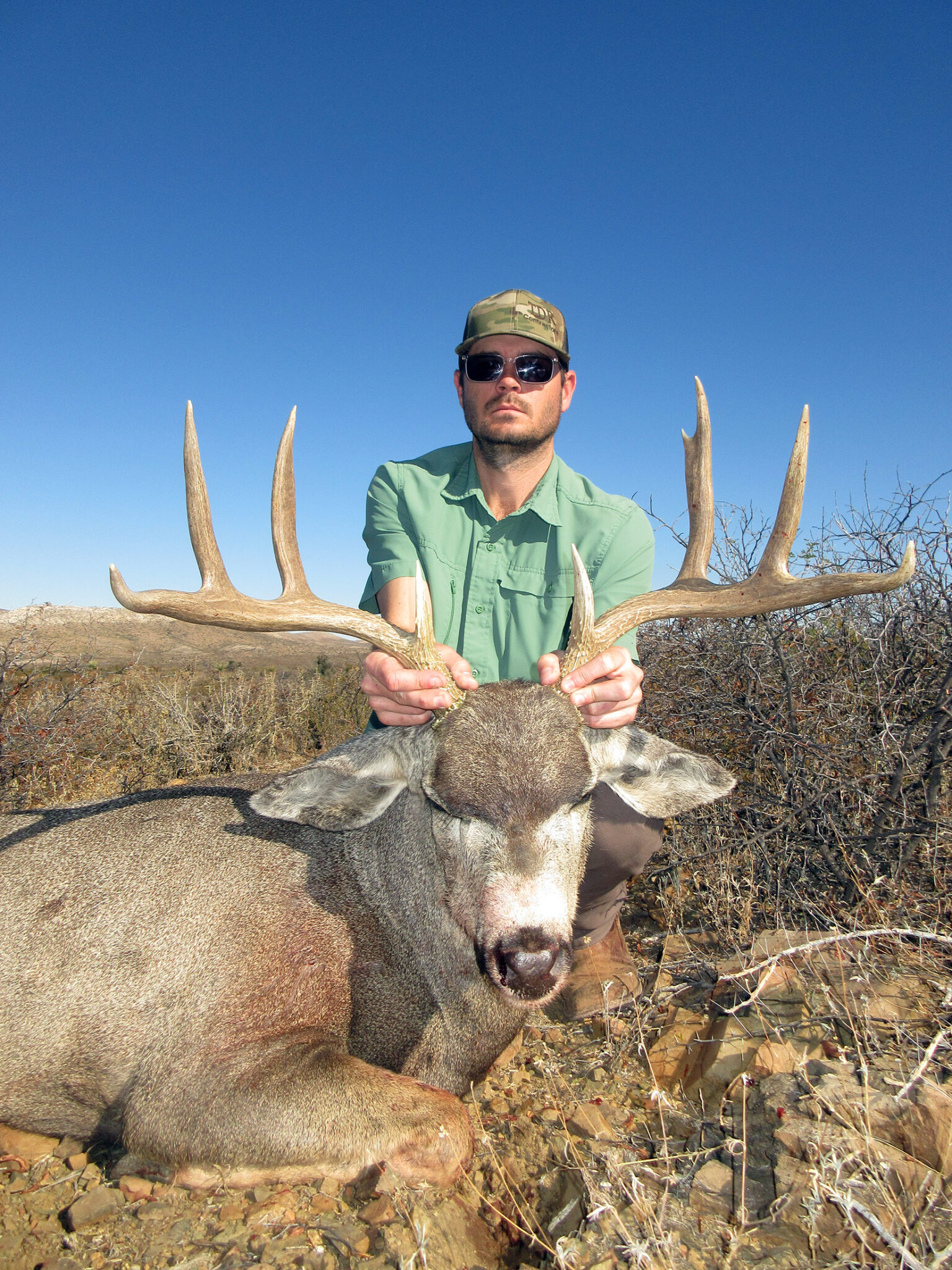 Mule Deer Hunt Photos - Wildlife Systems Inc