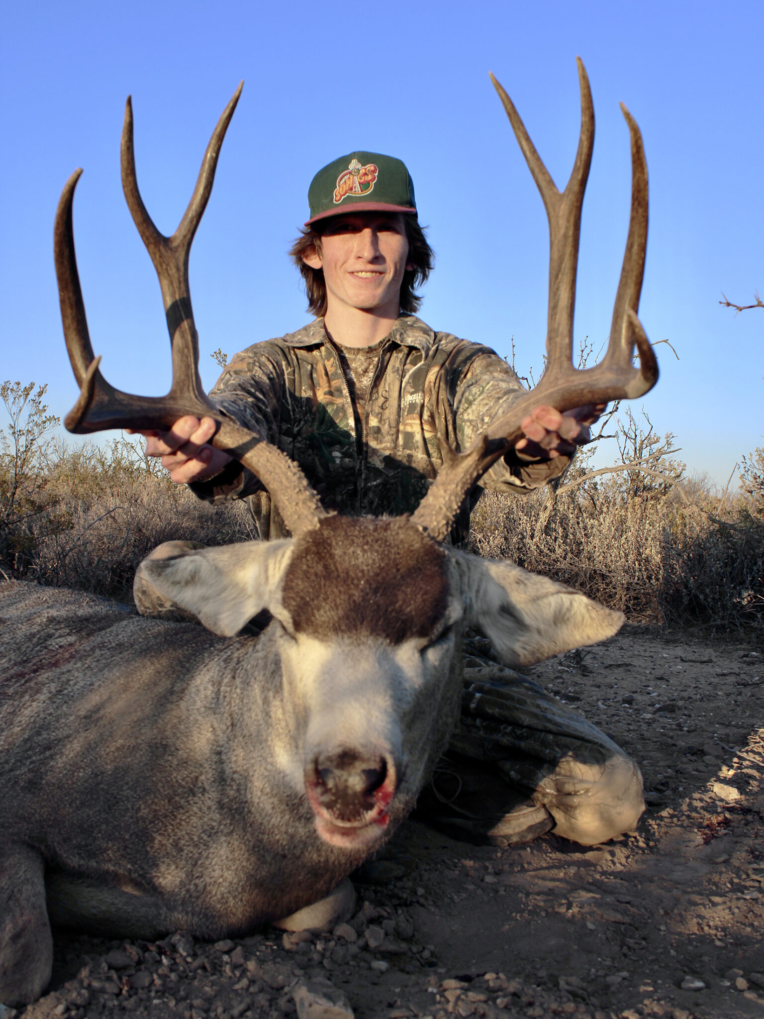 Mule Deer Hunt Photos - Wildlife Systems Inc