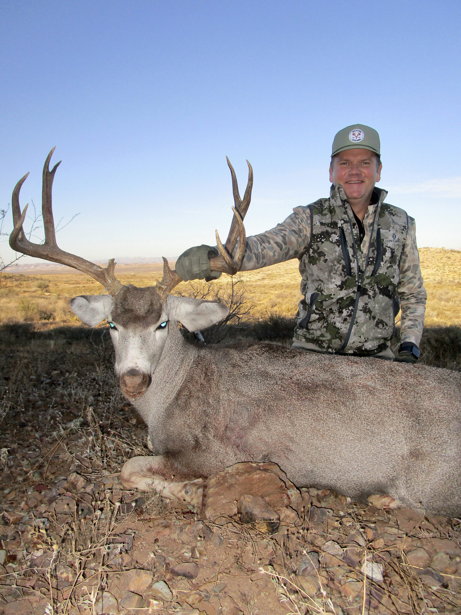 Mule Deer Hunt Photos - Wildlife Systems Inc