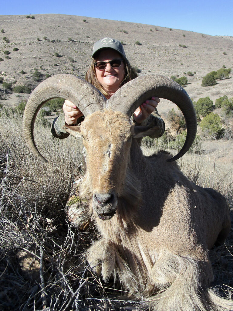 Aoudad Hunt Photos - Wildlife Systems Inc