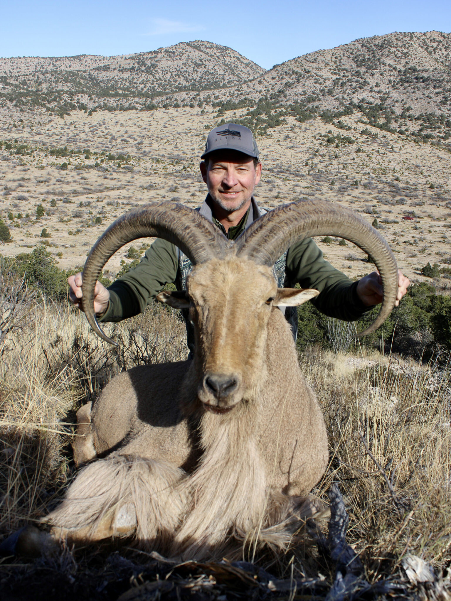 Aoudad Hunt Photos - Wildlife Systems Inc