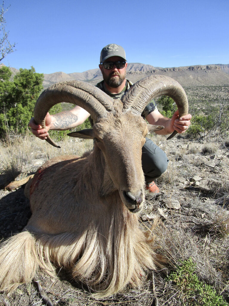 Aoudad Hunt Photos - Wildlife Systems Inc