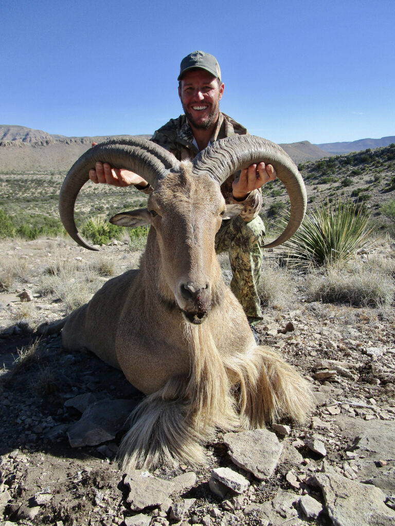 Aoudad Hunt Photos - Wildlife Systems Inc