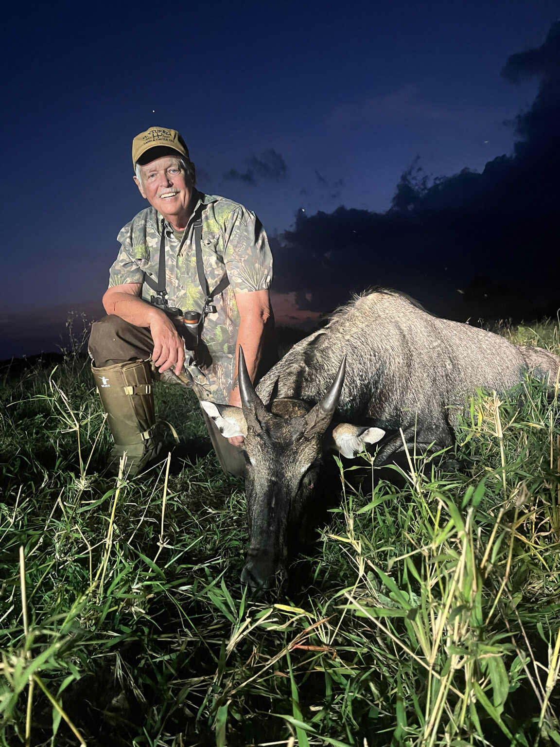 Nilgai Antelope - Wildlife Systems Inc