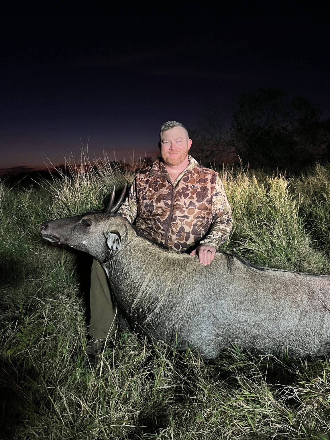 Nilgai Antelope - Wildlife Systems Inc